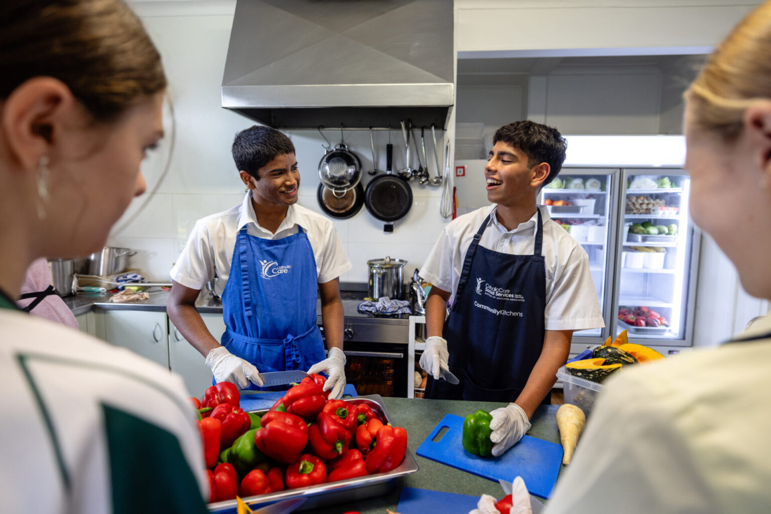 CatholicCare Social Services Hunter-Manning - Catholic Diocese of Maitland-Newcastle